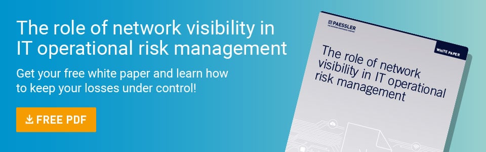 Network visibility in IT risk management